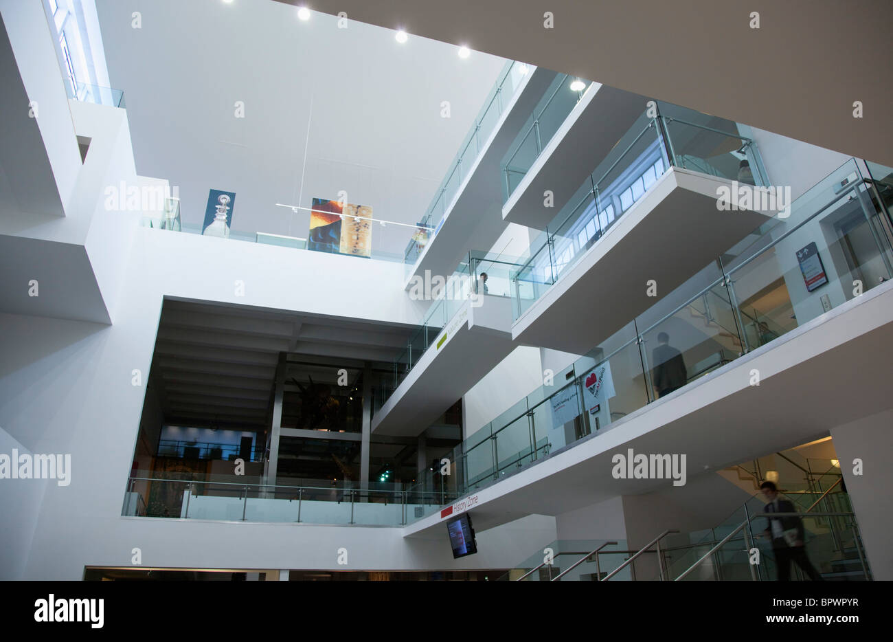 Ireland, North, Belfast, Botanic Gardens, Ulster Museum interior Stock ...
