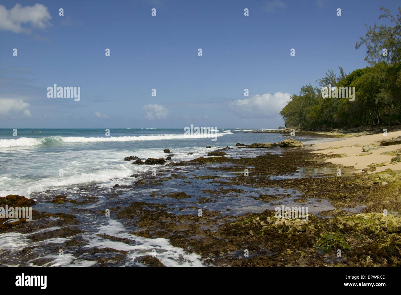 Harrison point barbados hi-res stock photography and images - Alamy