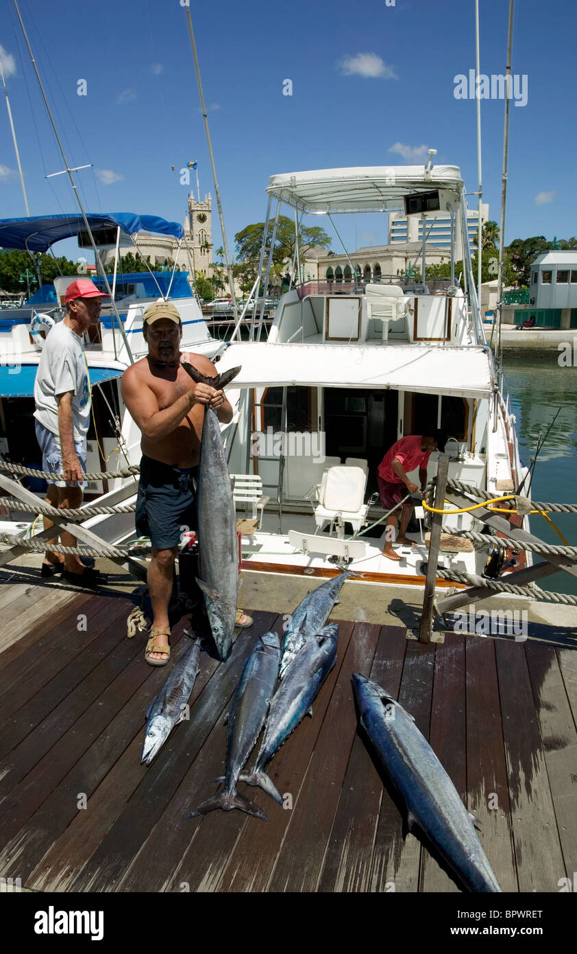 American wahoo hi-res stock photography and images - Alamy