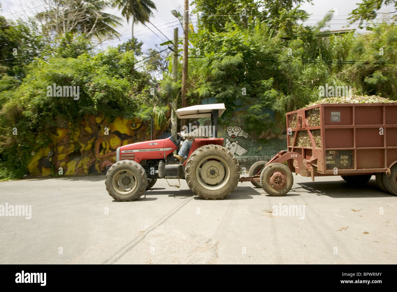 Tractor pulling a trailer of sugar cane passing animals painted on the ...