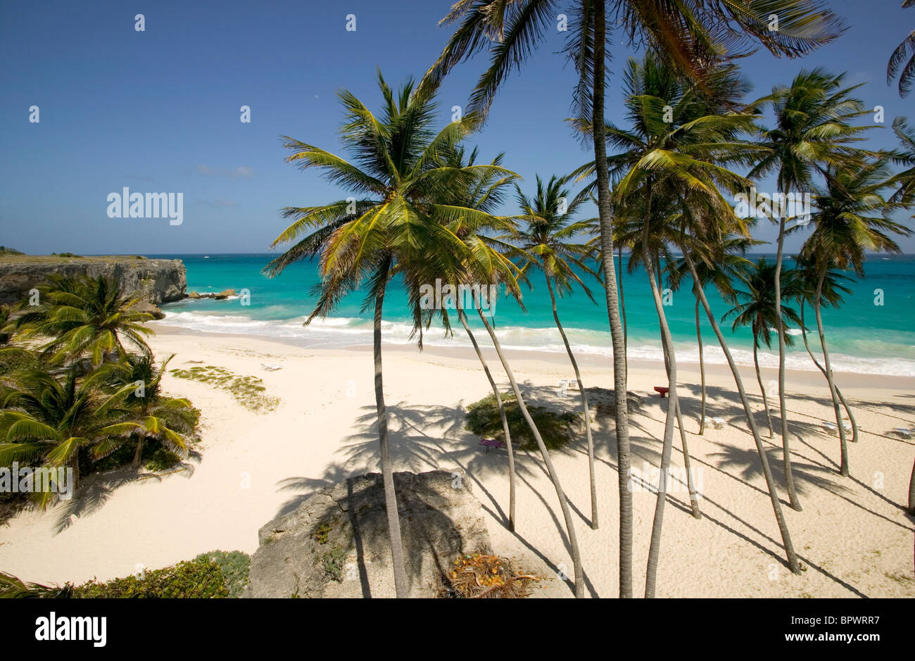 Coconut palm trees and beach view onto Atlantic Ocean, Bottom Bay ...