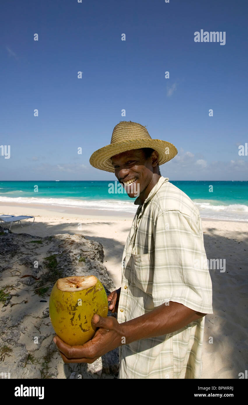 Mongoose caribbean hi-res stock photography and images - Alamy
