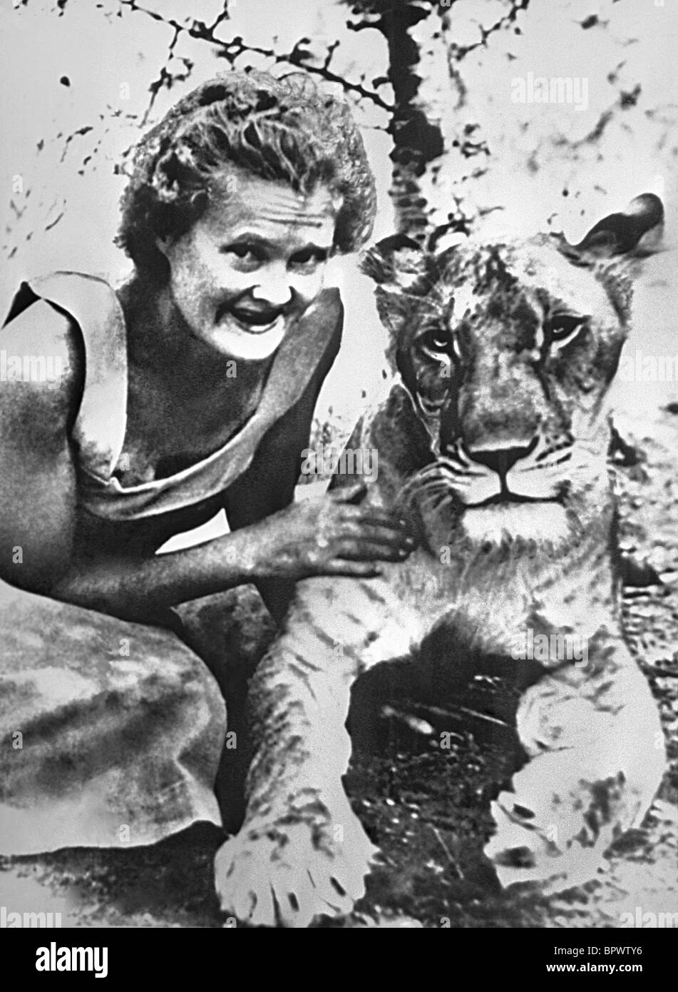 Joy Adamson High Resolution Stock Photography and Images - Alamy