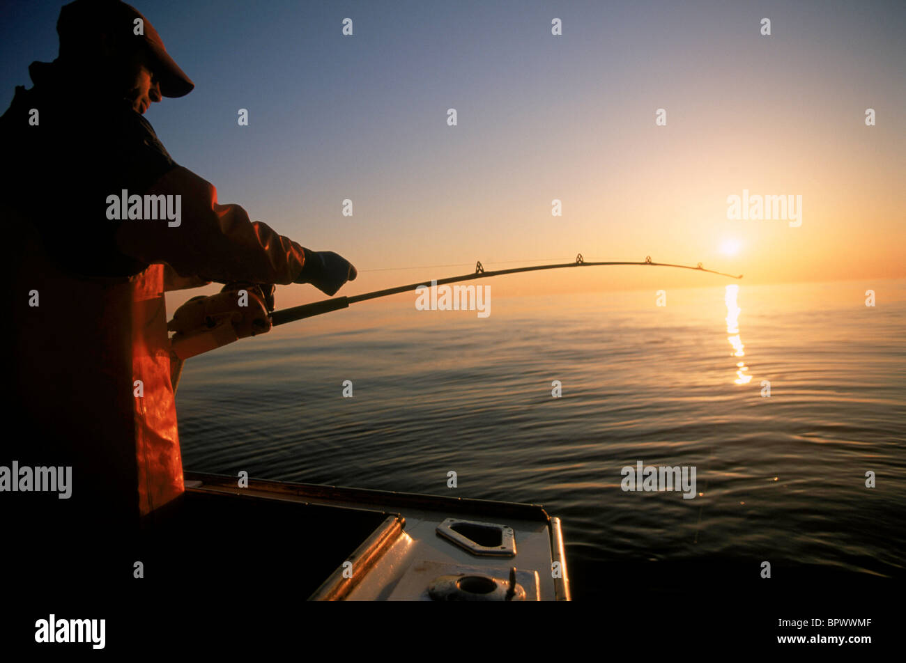 Long line cod fishing hi-res stock photography and images - Alamy