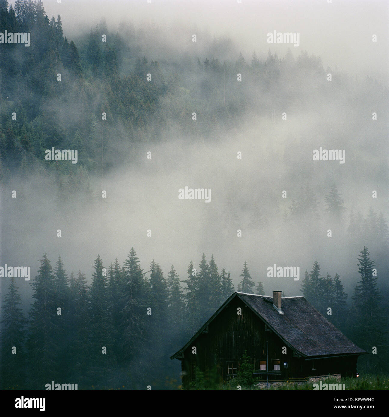 Cabin in the forest Stock Photo - Alamy
