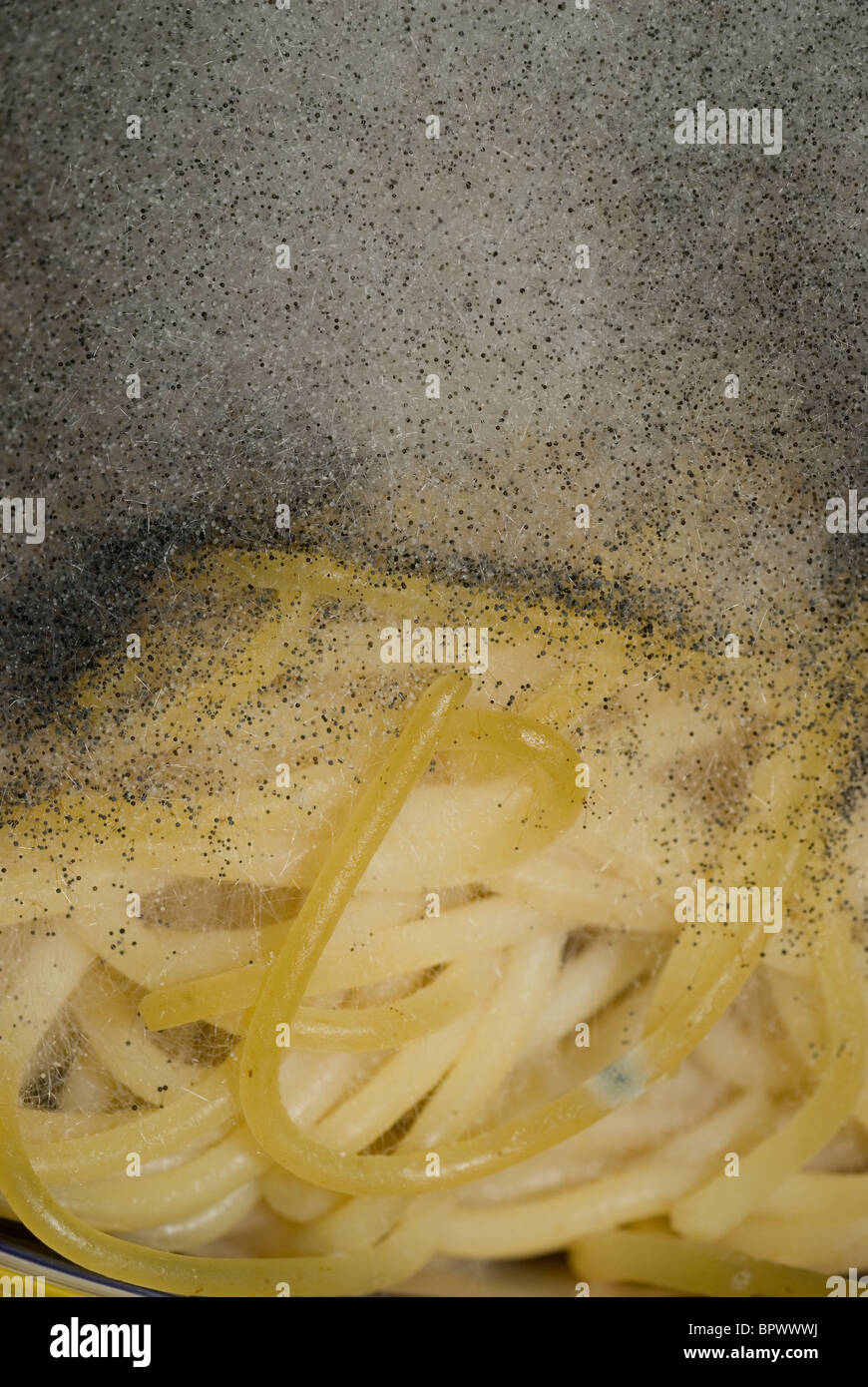 Decaying food hi-res stock photography and images - Alamy