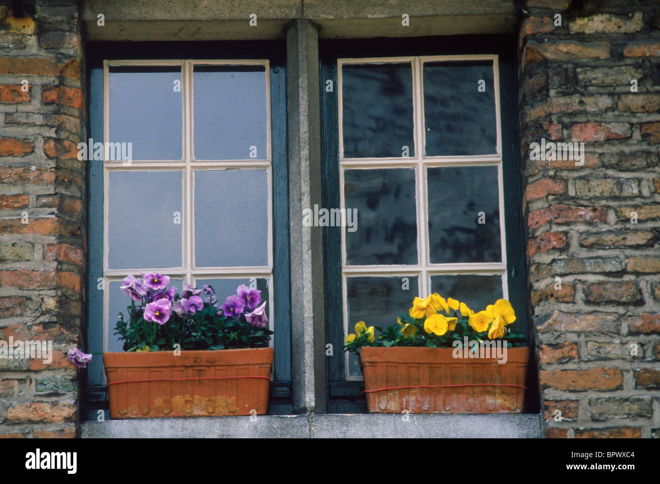 windows on houses, Brugge, Belgium Stock Photo - Alamy