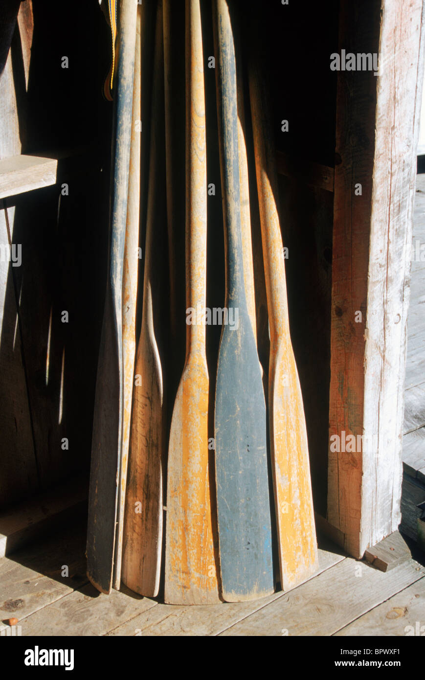 lots of oars Stock Photo - Alamy