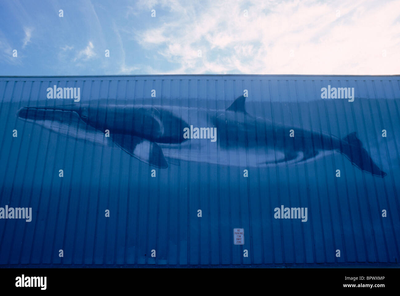 Portland maine usa whale wyland artist art paintings murals ...