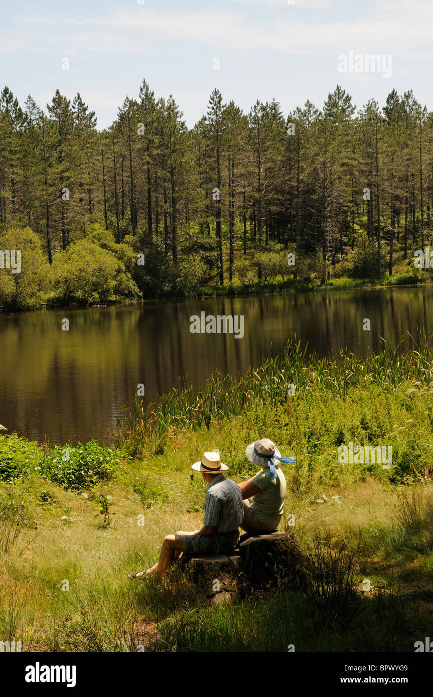 State forests in france hi-res stock photography and images - Alamy