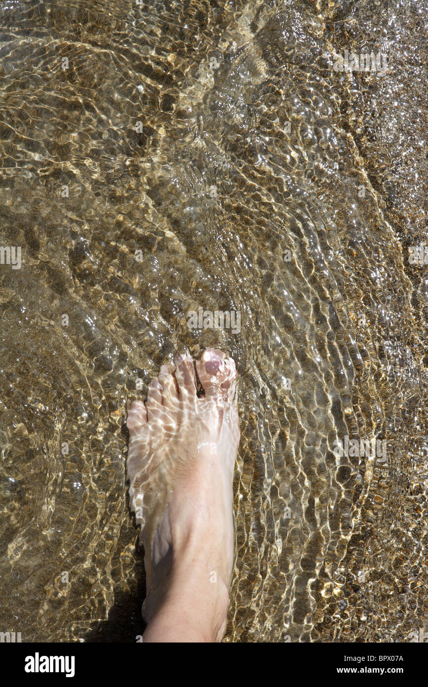 beach tourist feet walking on shore shallow water summer vacation ...