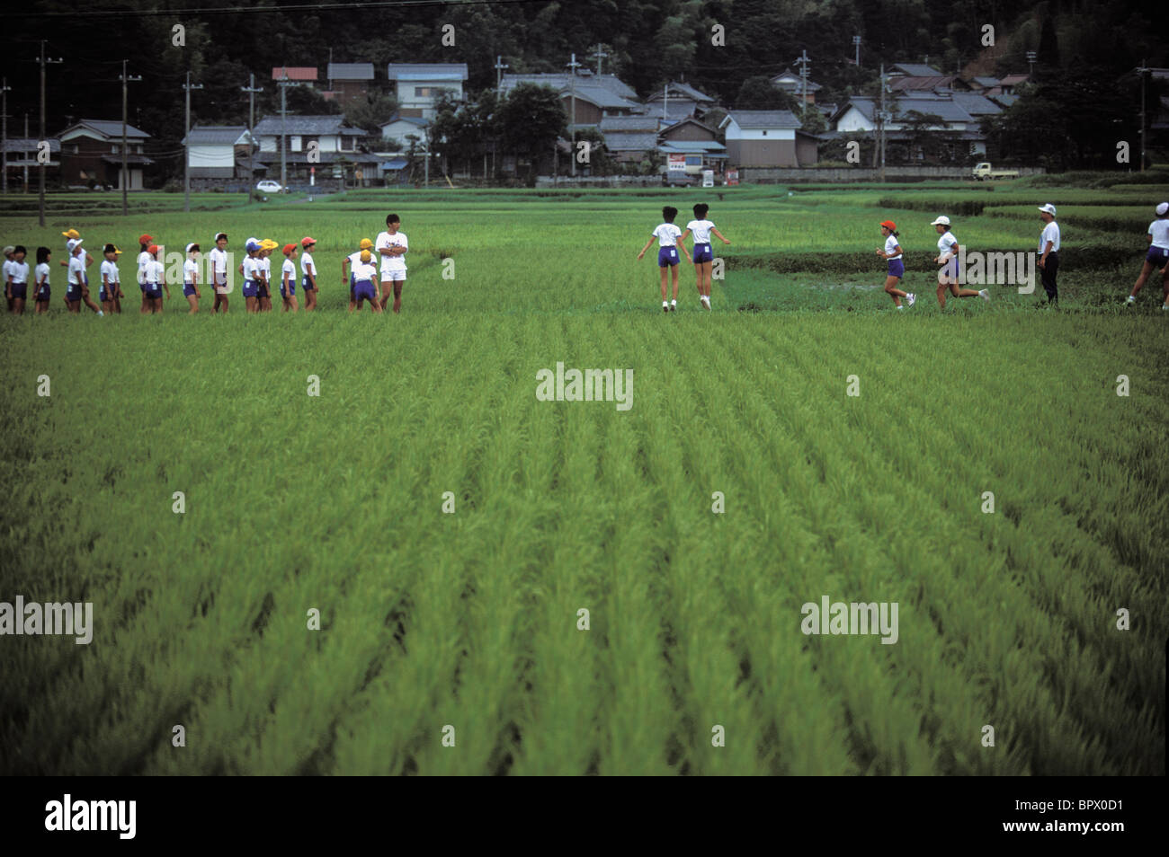 Exercises in a rice field Stock Photo - Alamy
