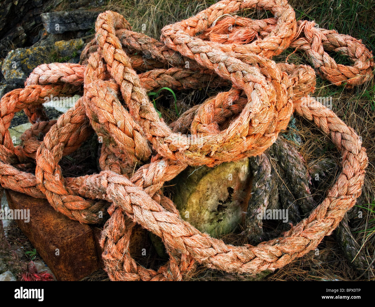 Old marine rope left on the seashore Stock Photo - Alamy