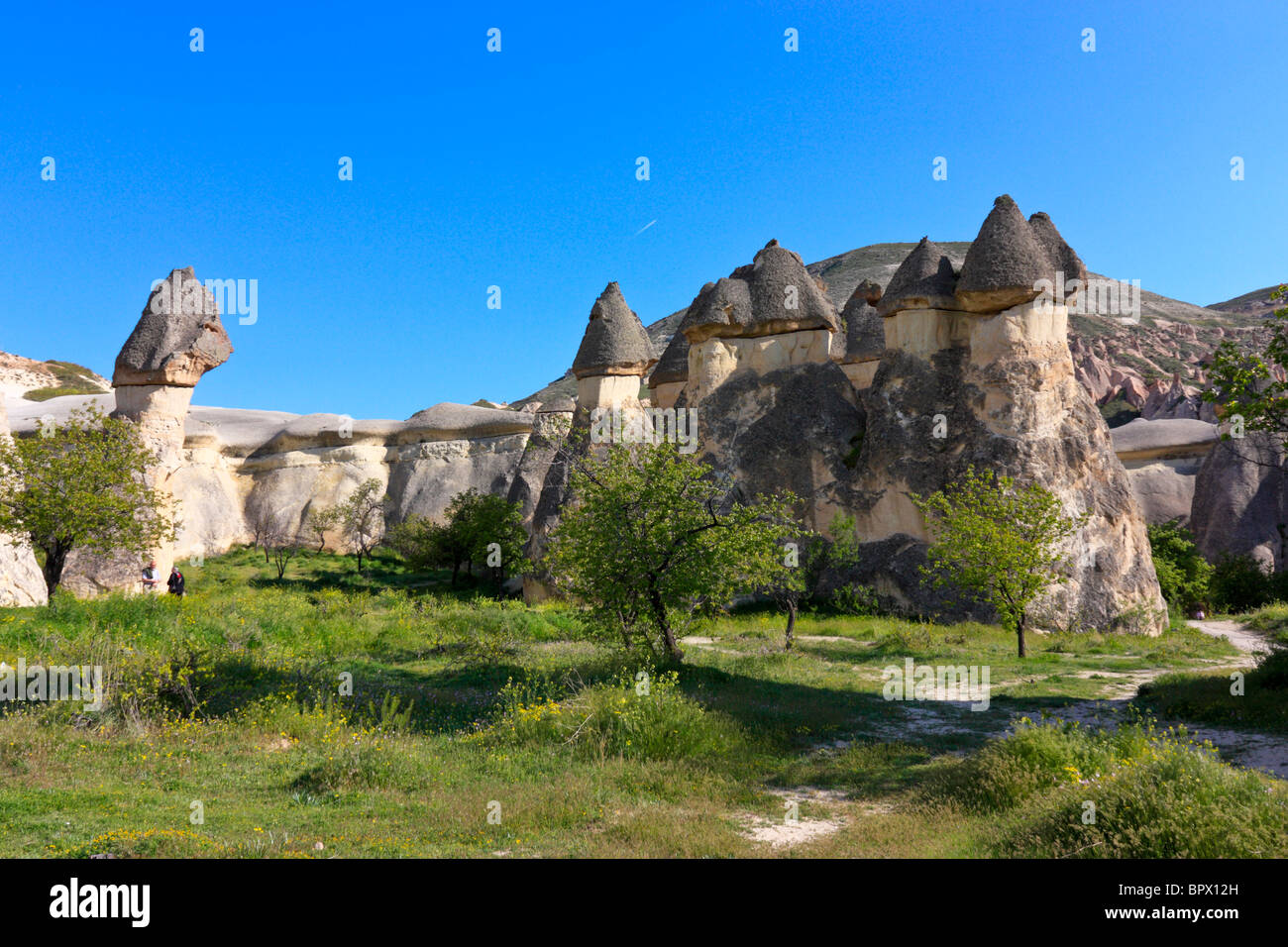 Volcanic Tuff Pillars near Goreme and Uchisar, Cappadocia, Turkey Stock ...