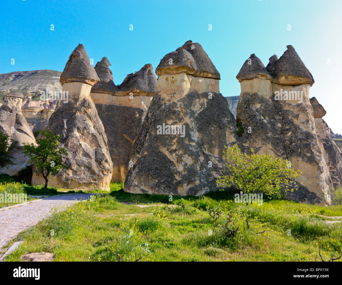 Volcanic Tuff Pillars near Goreme and Uchisar, Cappadocia, Turkey Stock ...