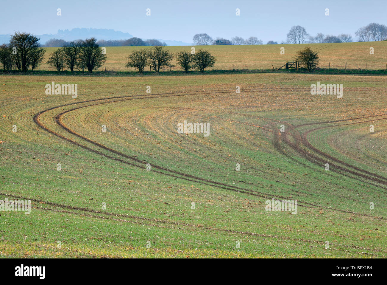 a view of a arable field showing cultivation patterns Stock Photo - Alamy