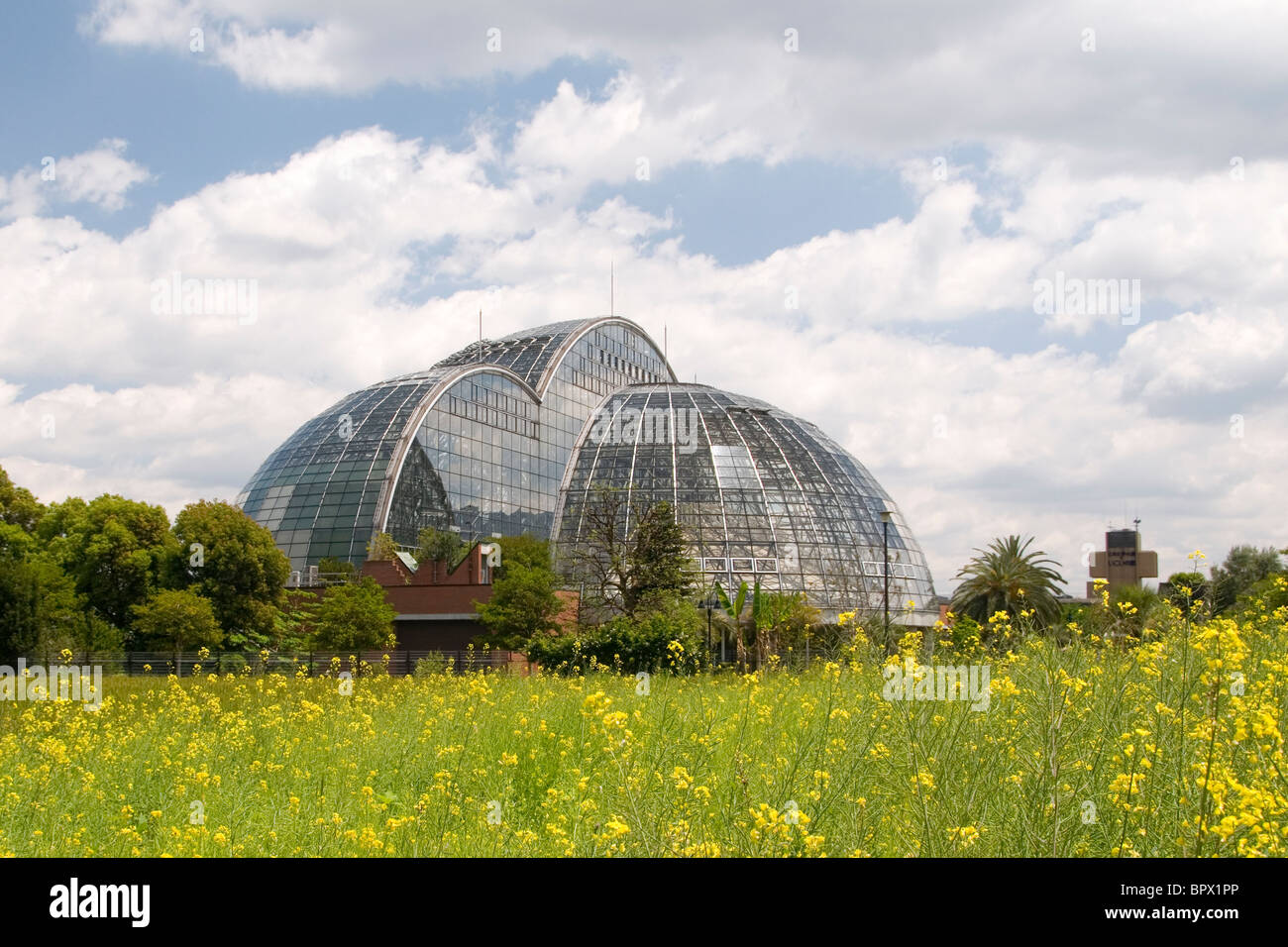 Yumenoshima Tropical Greenhouse Dome in Koto-ku, Tokyo, Japan Stock ...