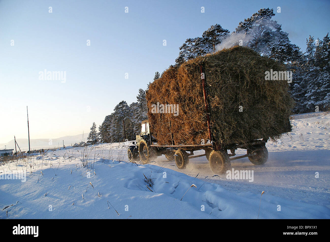 Country Life High Resolution Stock Photography and Images - Alamy