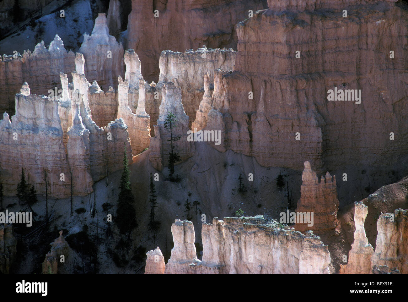 Bryce National Park Stock Photo - Alamy