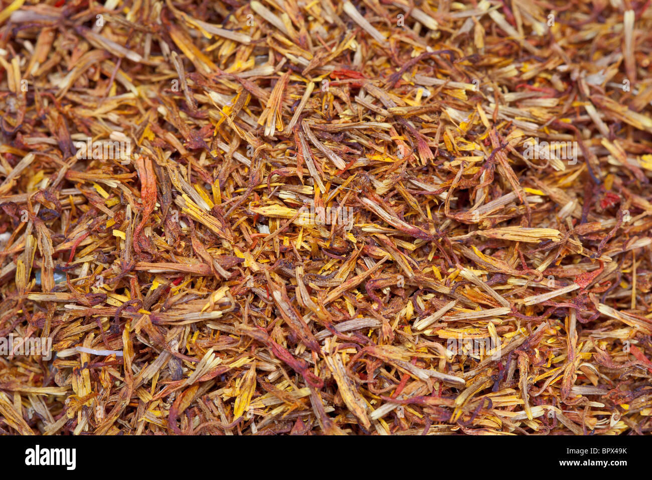 Saffron, Crocus sativus, threads Stock Photo - Alamy