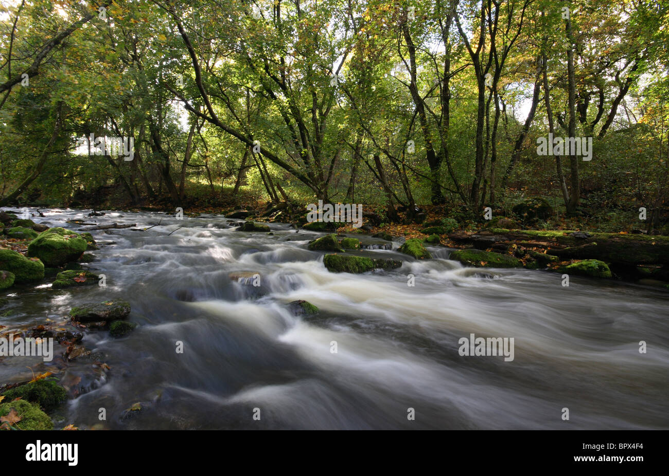 River near Jägala waterfall, Estonia Stock Photo - Alamy