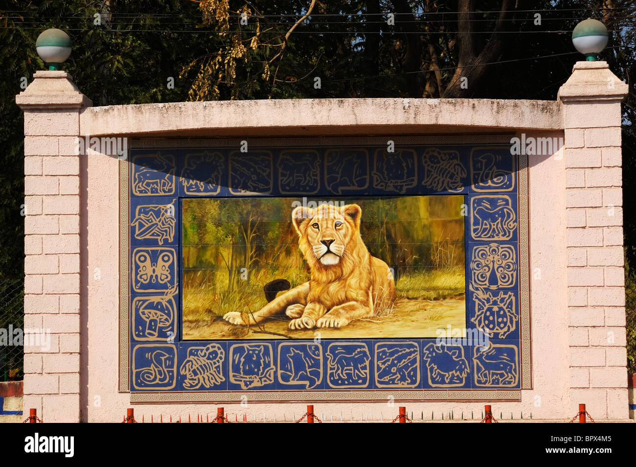 Gir forest hi-res stock photography and images - Alamy