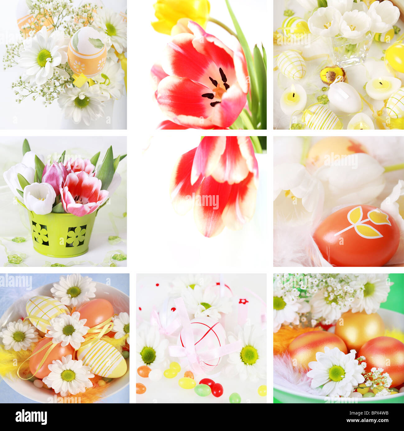 Collection of eight still live photos for Easter in fresh colors Stock ...