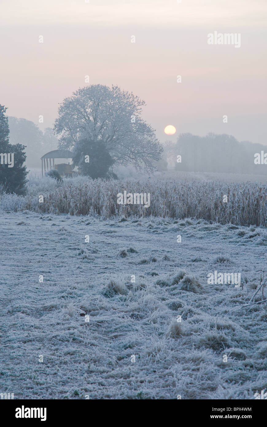 Daybreak over a frosty field Stock Photo - Alamy