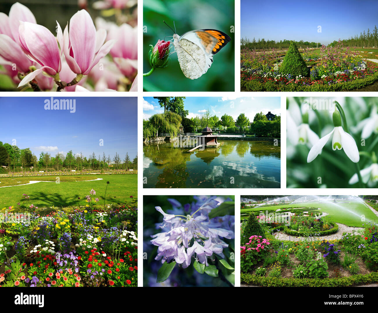 Collage of different gardens and flowers Stock Photo - Alamy