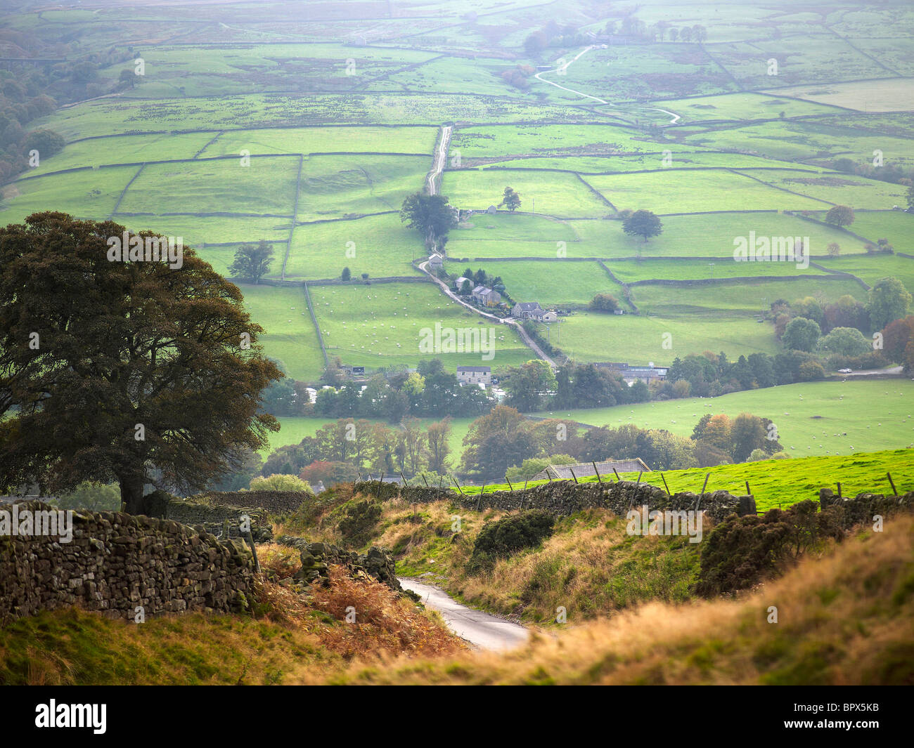 Nidderdale above Lofthouse, Yorkshire Dales, Northern England Stock ...