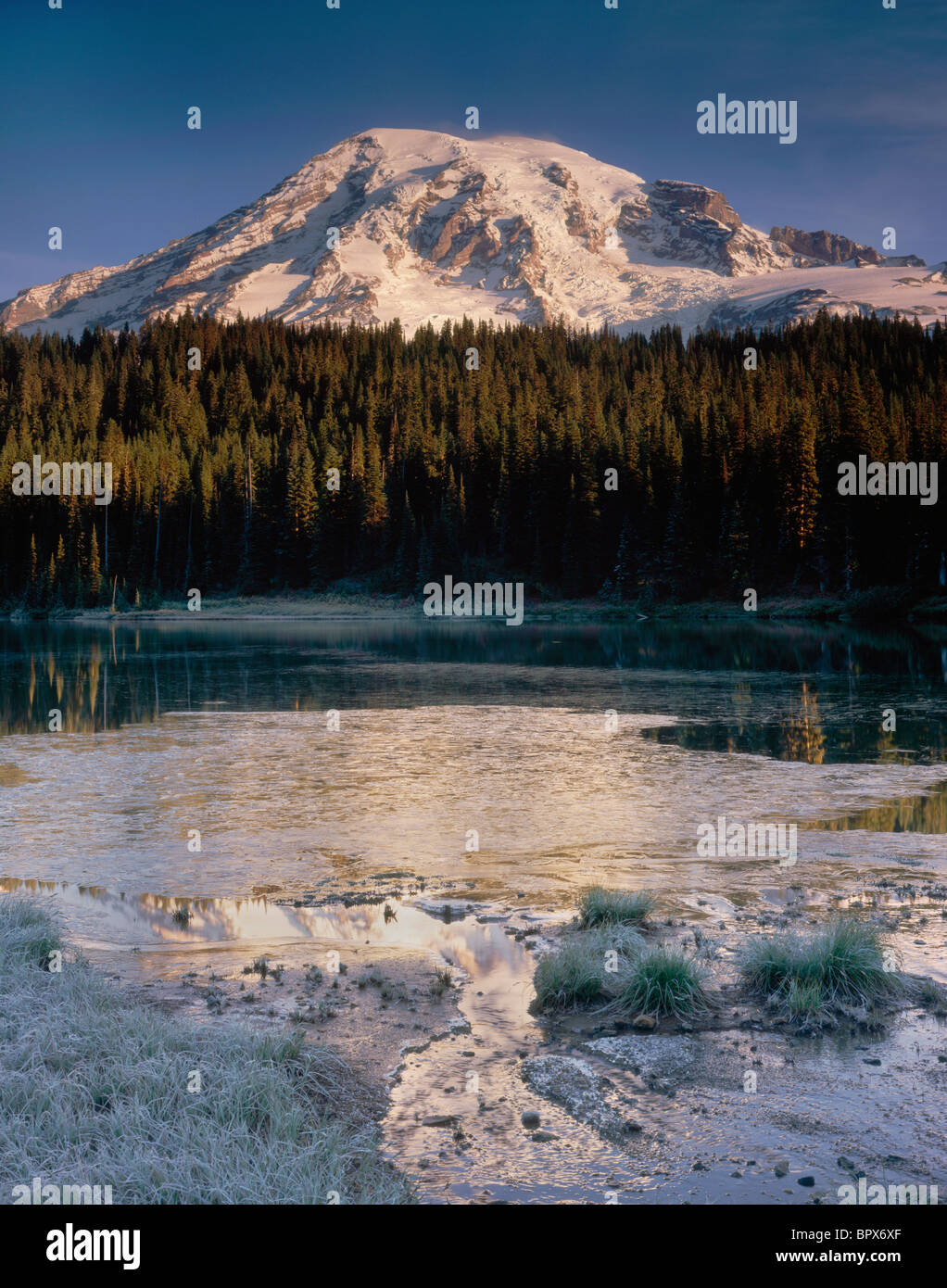 Mount Rainier 14,411 ft (4,392 m) from Mazama Ridge, Mount Rainier ...