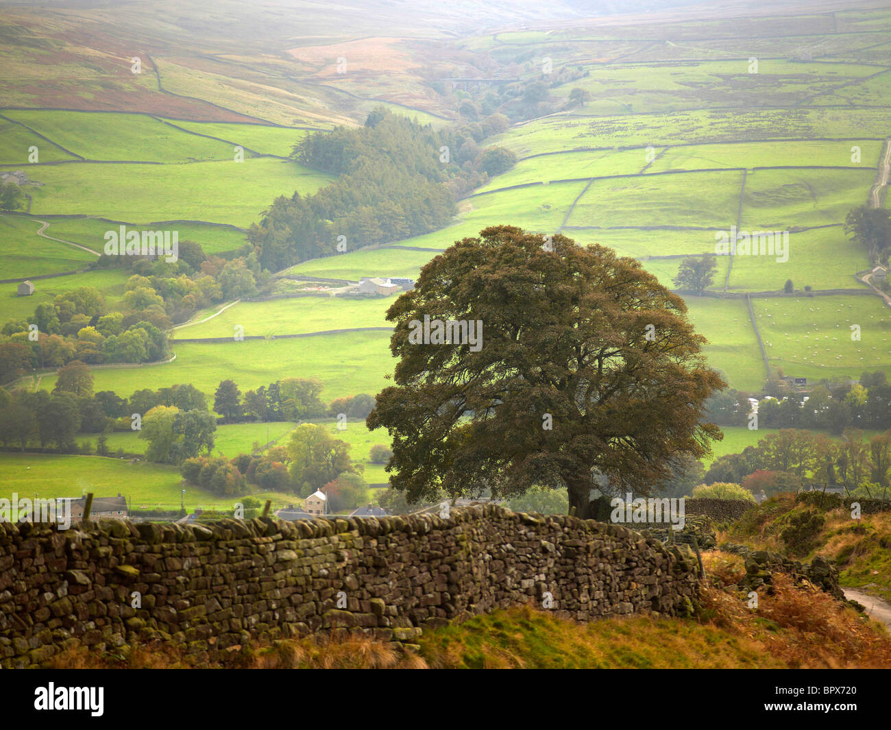 Nidderdale above Lofthouse, Yorkshire Dales, Northern England Stock ...