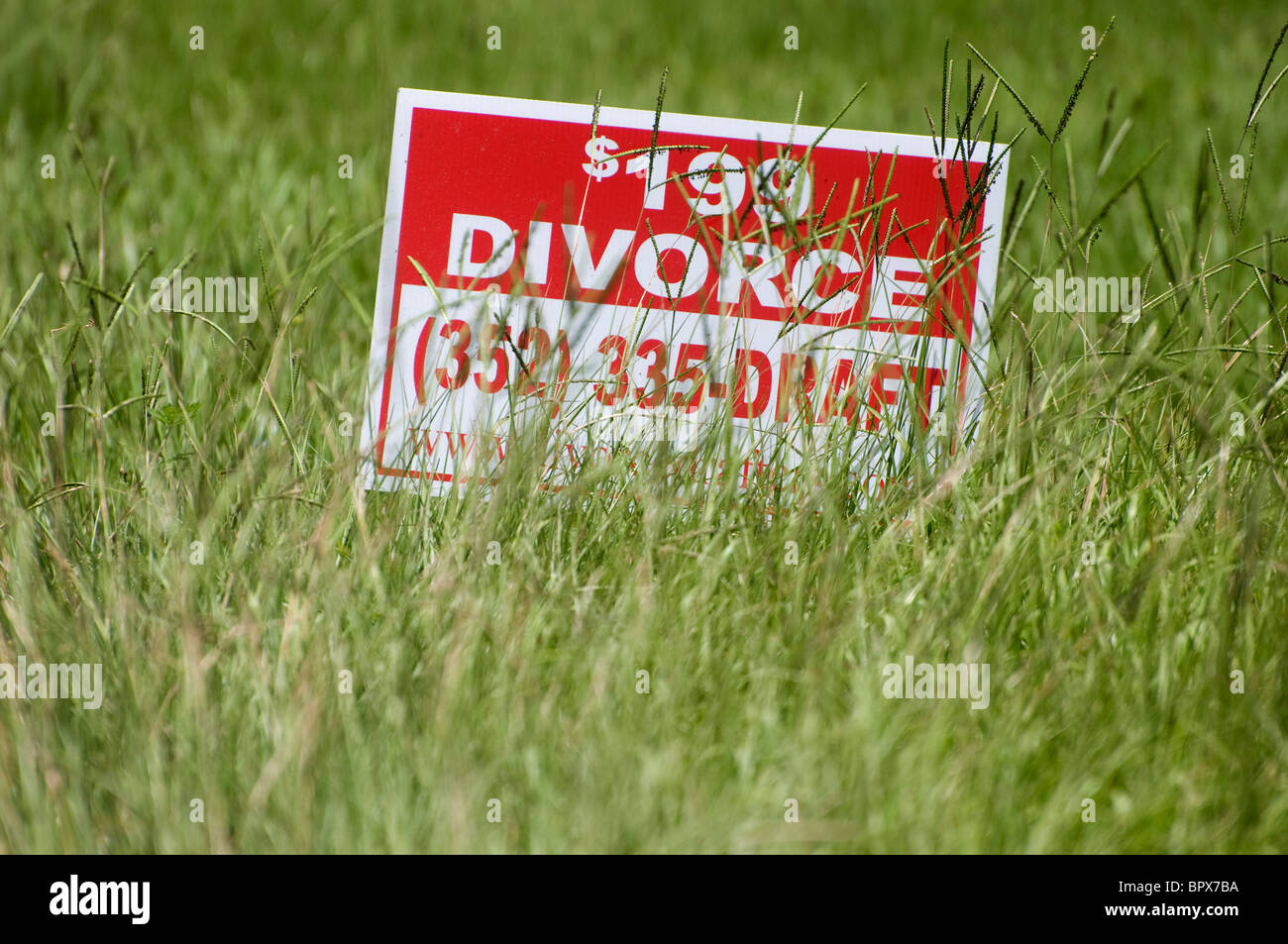 $199 divorce advertising sign in grass along highway in North Florida ...