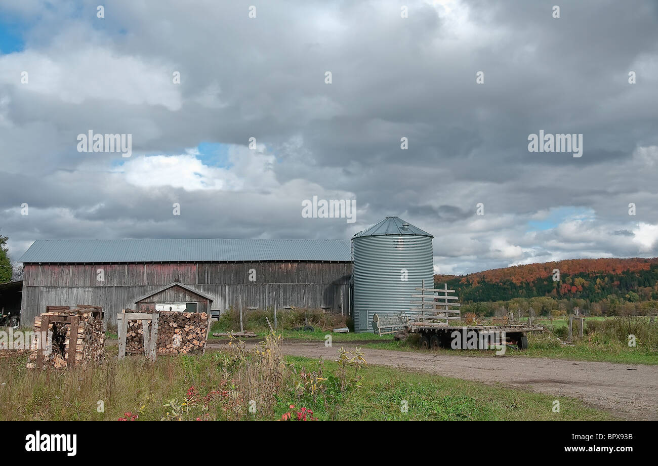 old rustic barn with silo and woods pile in Quebec Country in autumn ...