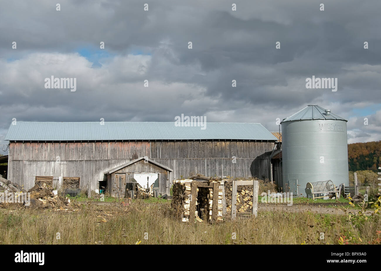 old rustic barn with silo and woods pile in Quebec Country in autumn ...