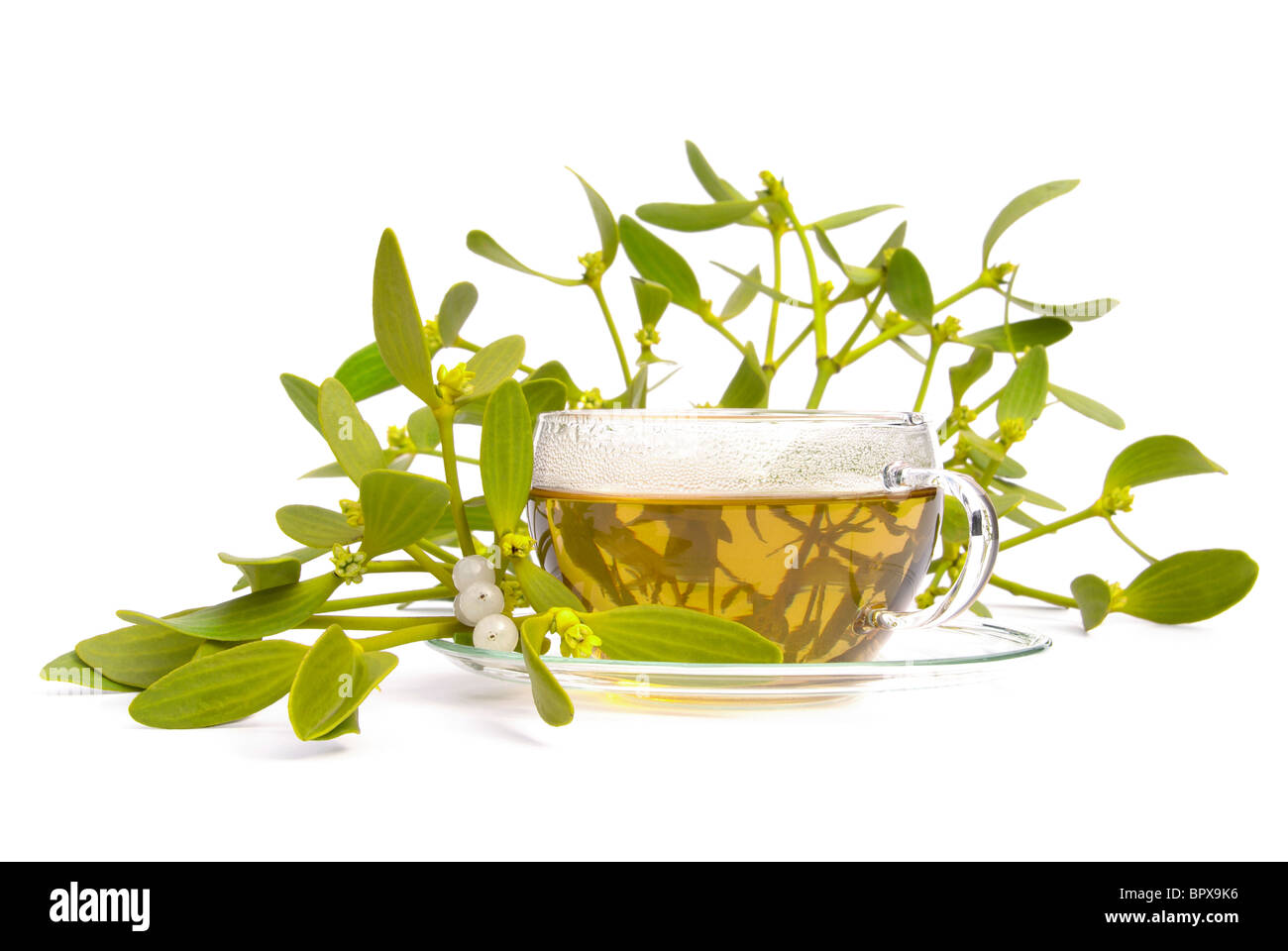 Tee Mistel - tea mistletoe 06 Stock Photo - Alamy