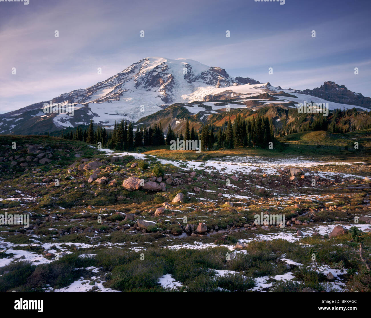 Mount Rainier 14,411 ft (4,392 m) from Mazama Ridge, Mount Rainier ...