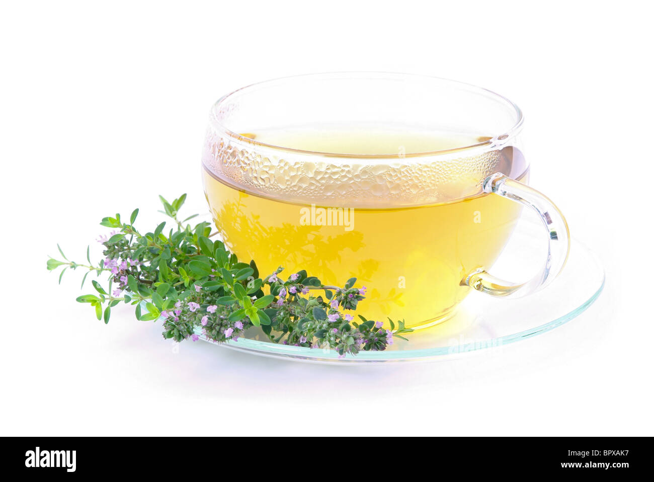 Tee Thymian - tea thymus 04 Stock Photo - Alamy