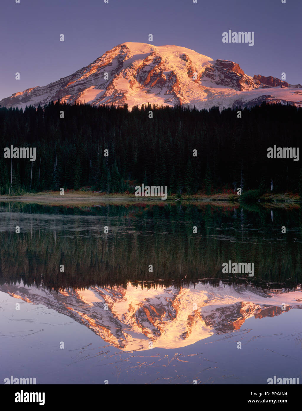 Mount Rainier 14,411 ft (4,392 m) from Mazama Ridge, Mount Rainier ...