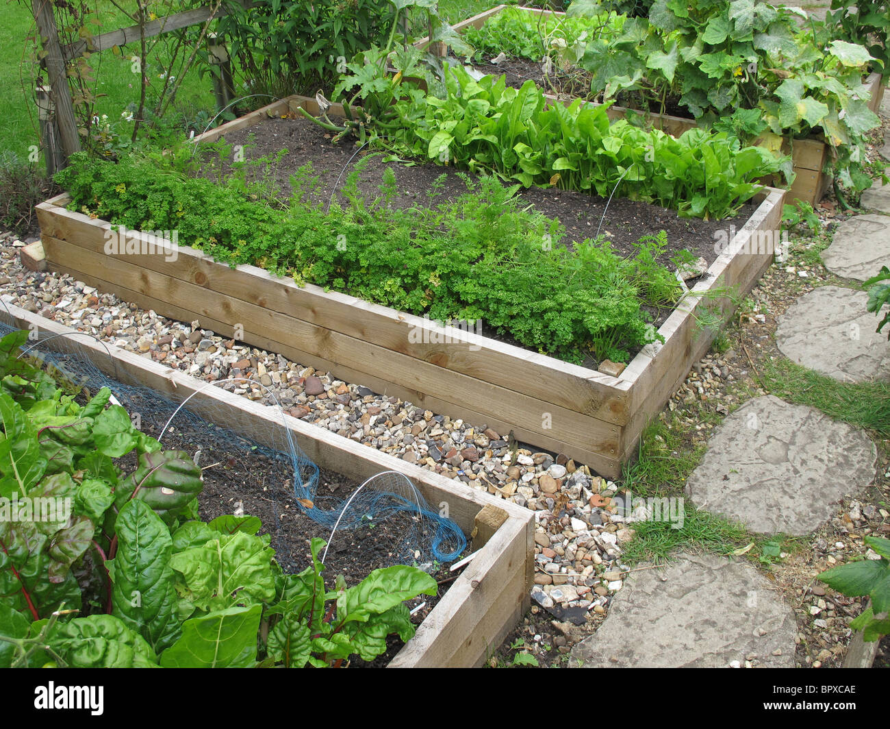 Stone raised beds hi-res stock photography and images - Alamy