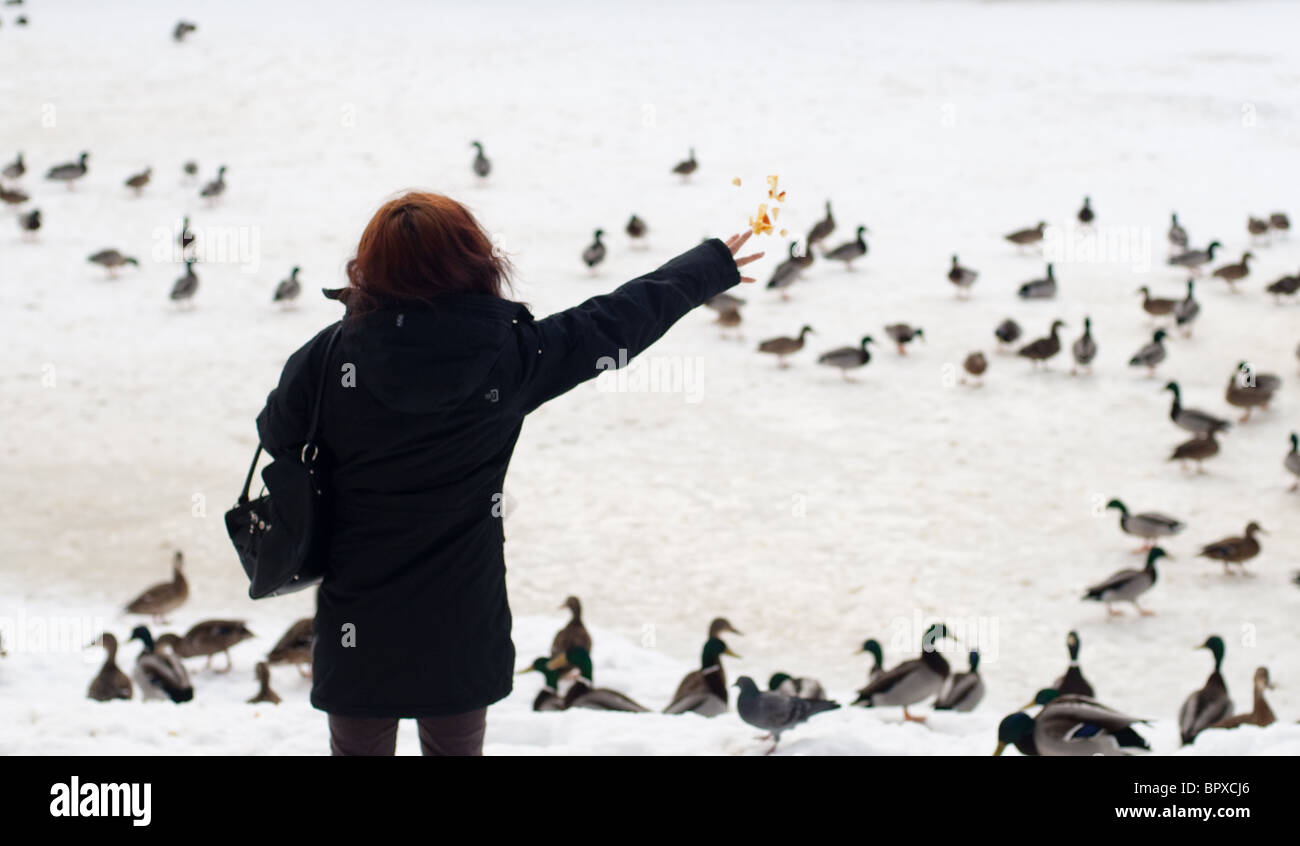 Giving charity hi-res stock photography and images - Alamy