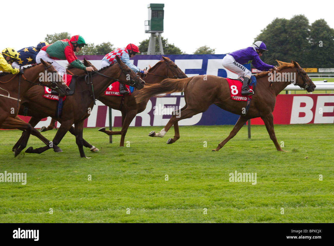 Haydock racecourse hi-res stock photography and images - Alamy