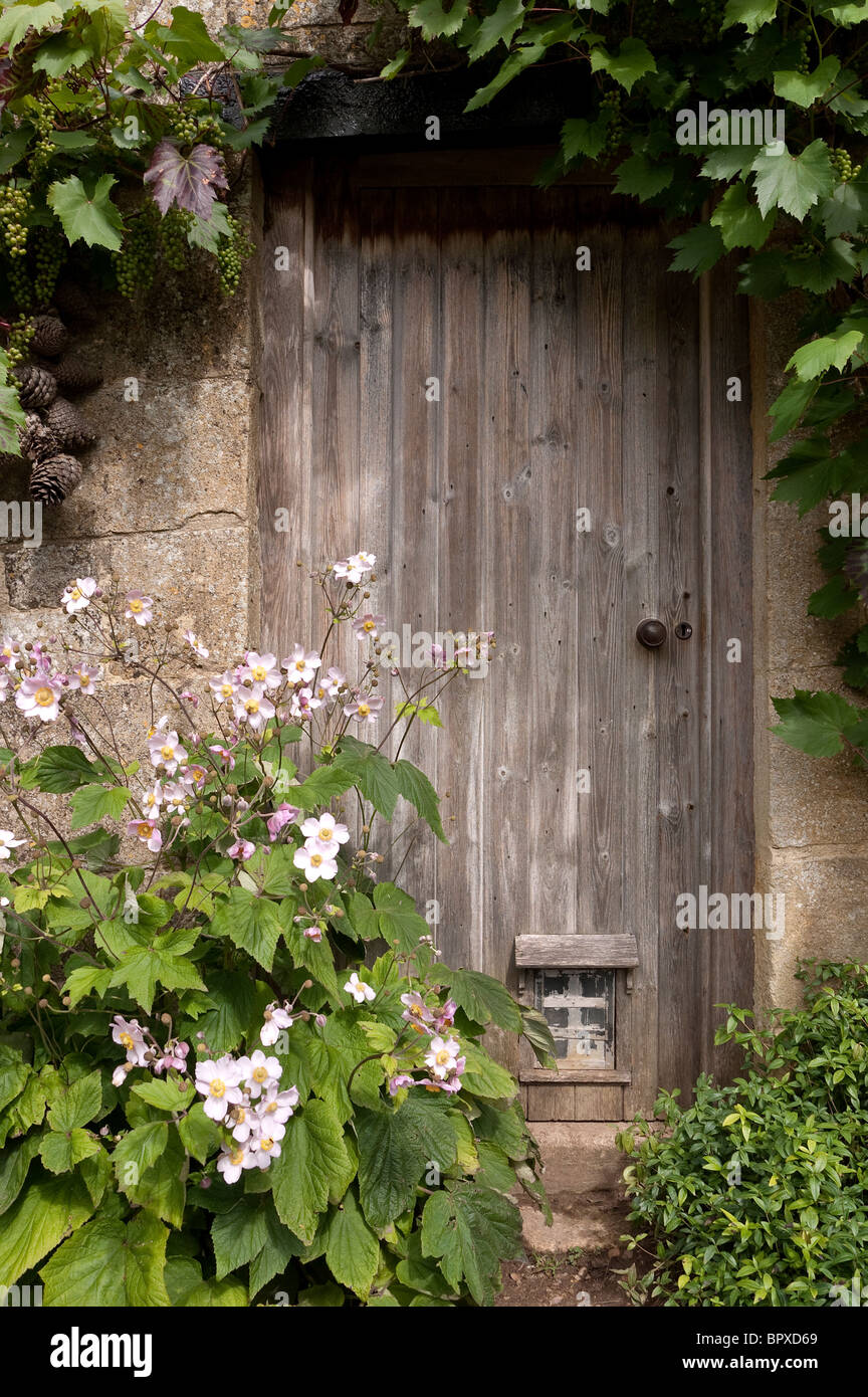 Vine door hi-res stock photography and images - Alamy