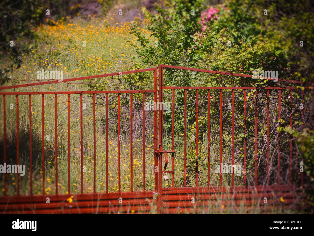 Old farm gate hi-res stock photography and images - Alamy