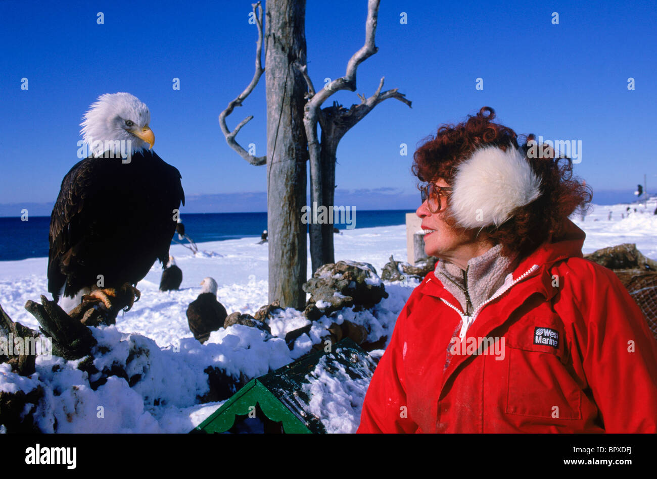 Eagle lady hi-res stock photography and images - Alamy