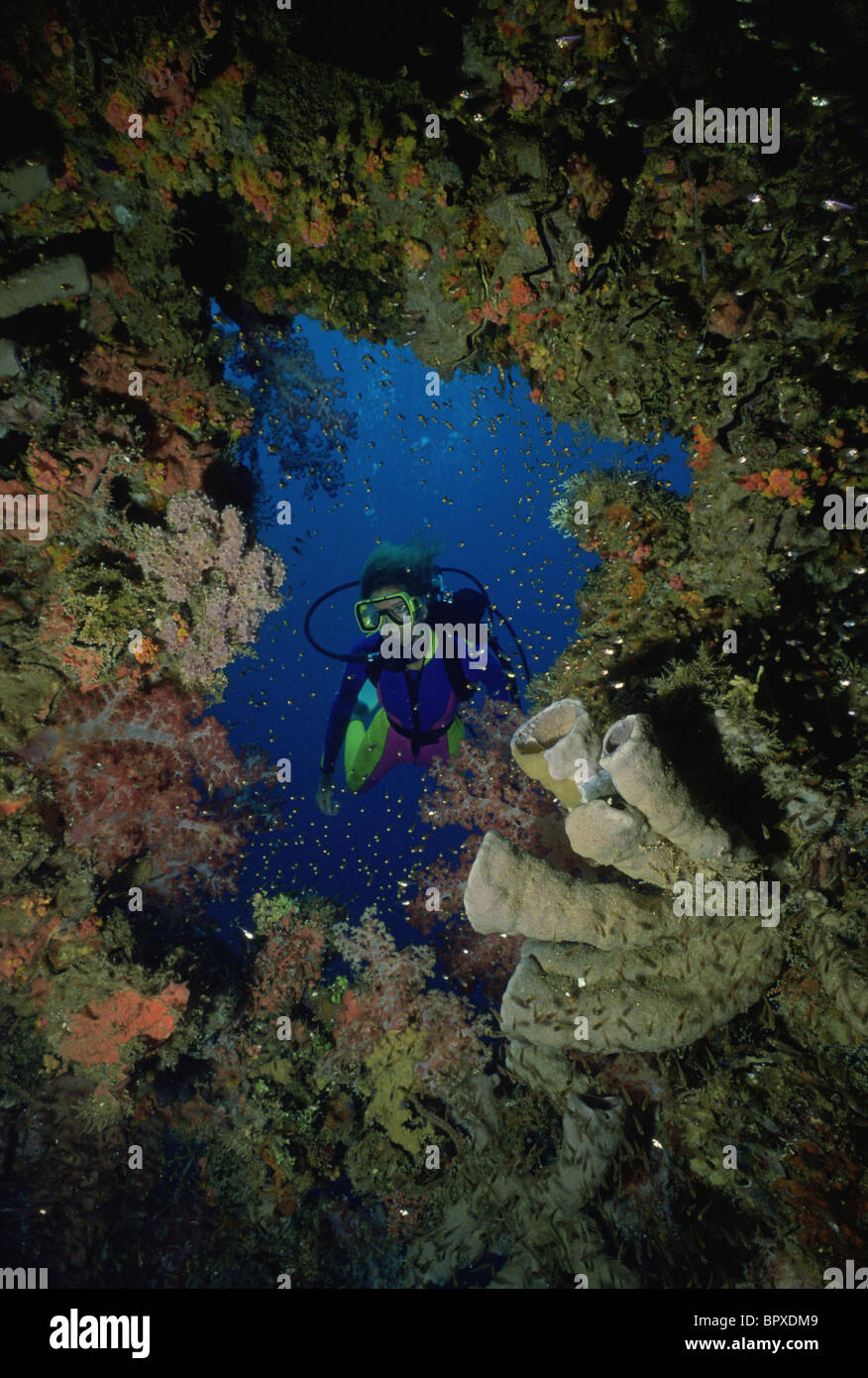 Female scuba diver on shipwreck, Micronesia Stock Photo - Alamy