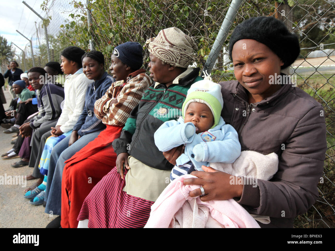 South Africa Refugees From Zimbabwe Are Still Staying In Tents At The