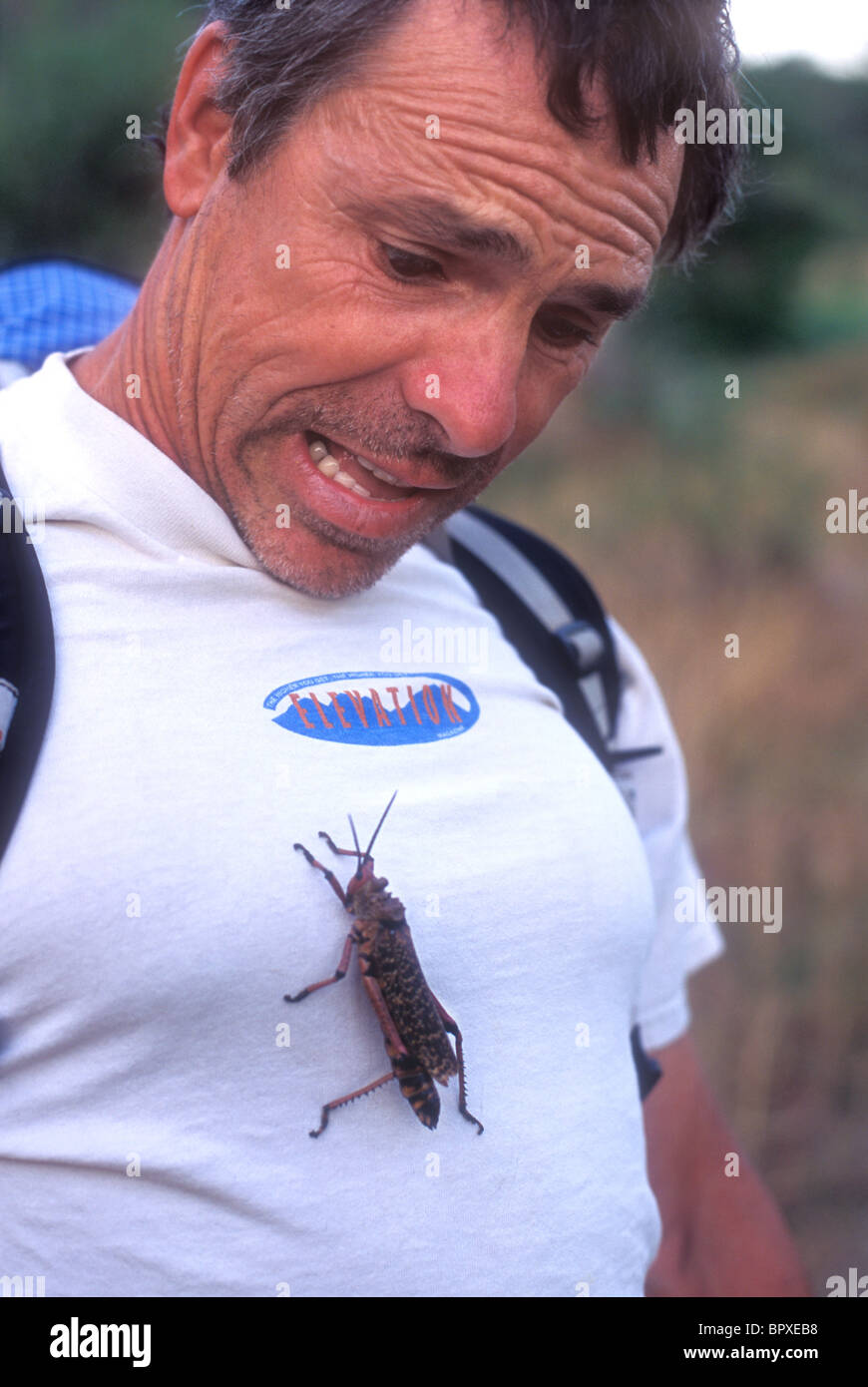 Man with large insect on chest, South Africa Stock Photo - Alamy