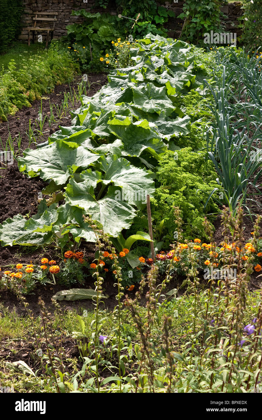 Kitchen garden at English country House Stock Photo - Alamy