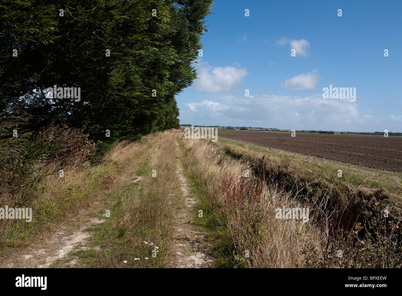 Wantsum hi-res stock photography and images - Alamy